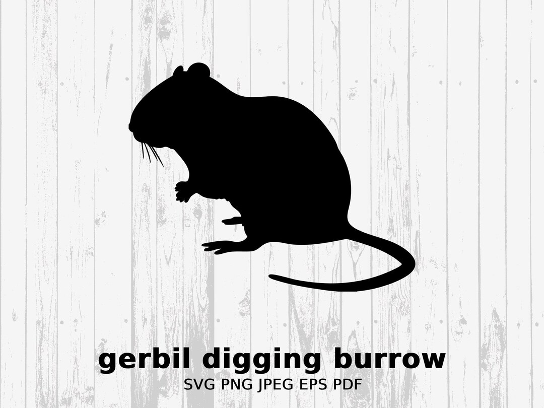 Gerbil Silhouette, Gerbil Digging Burrow SVG, Small Animal Silhouette ...