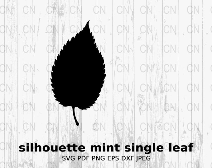 Mint Leaf SVG and PNG, Botanical Hand Drawn Apothecary Elements, Herb ...