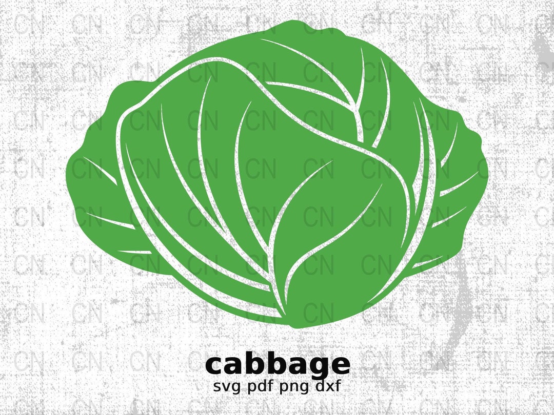 Cabbage Silhouette SVG, Vegetable Clipart, Farm Produce Vector, Healthy ...
