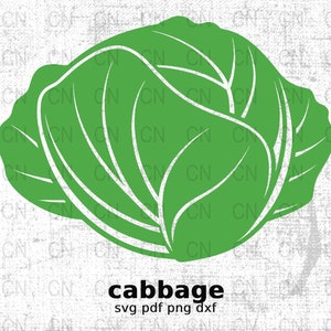 Cabbage Silhouette SVG, Vegetable Clipart, Farm Produce Vector, Healthy ...