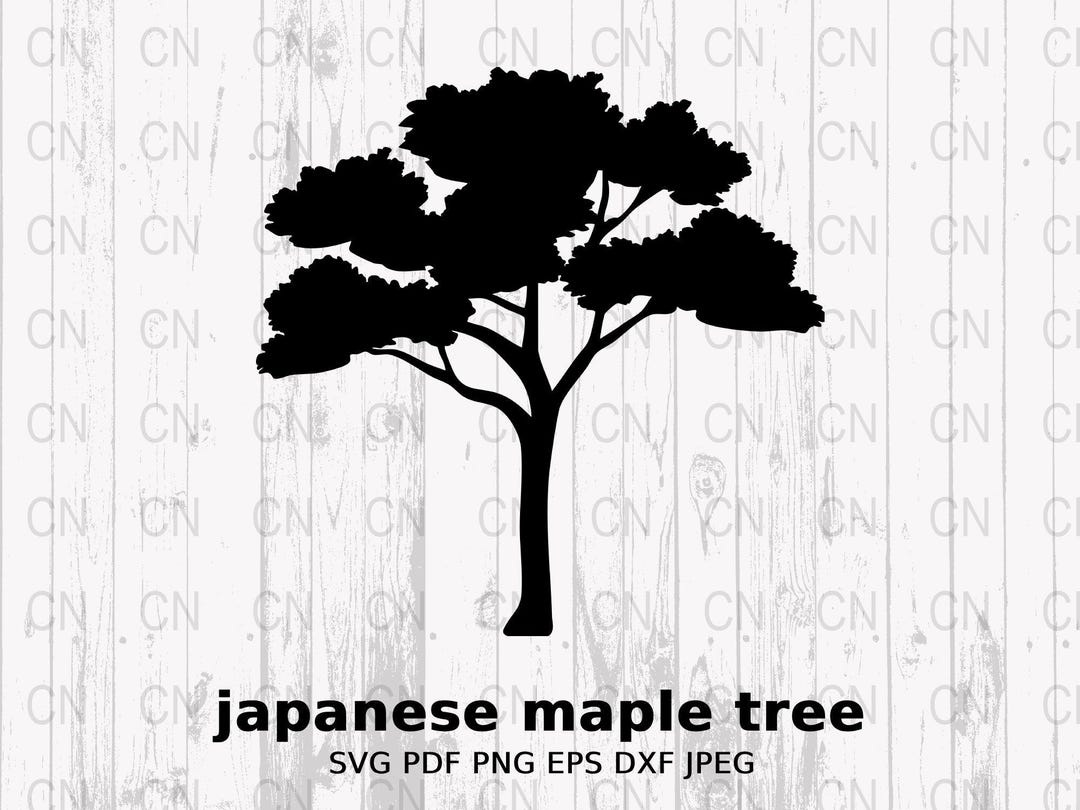 Japanese Maple Tree Silhouette SVG, Asian Tree Clipart, Autumn Leaves ...