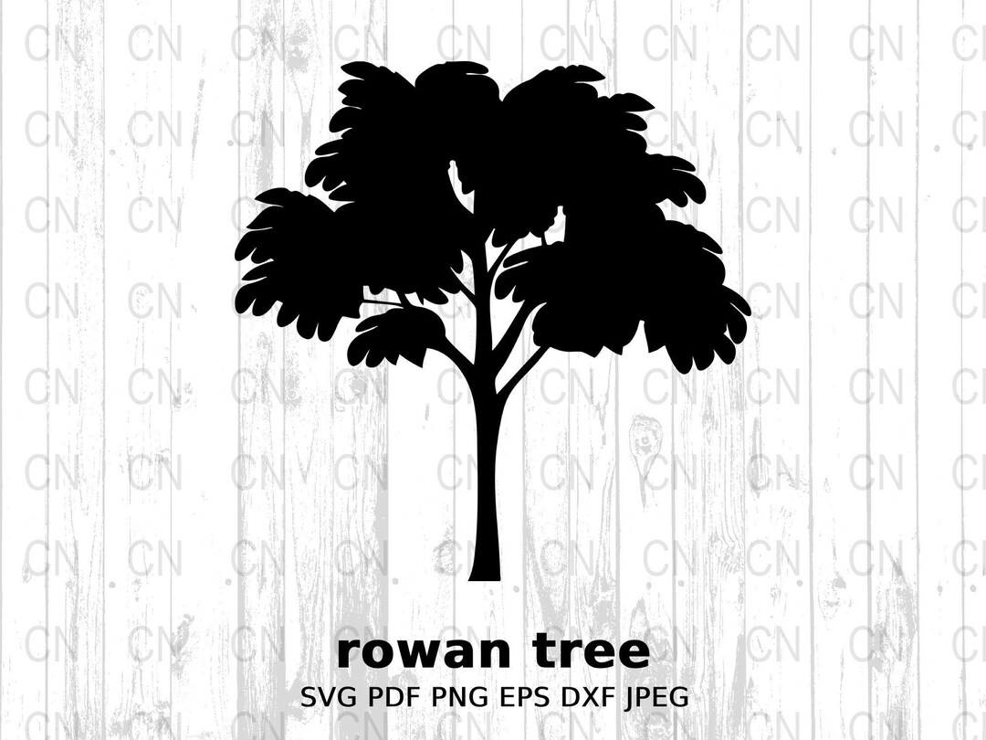 Rowan Tree Silhouette, Rowan Tree SVG, Mountain Ash Tree Silhouette ...