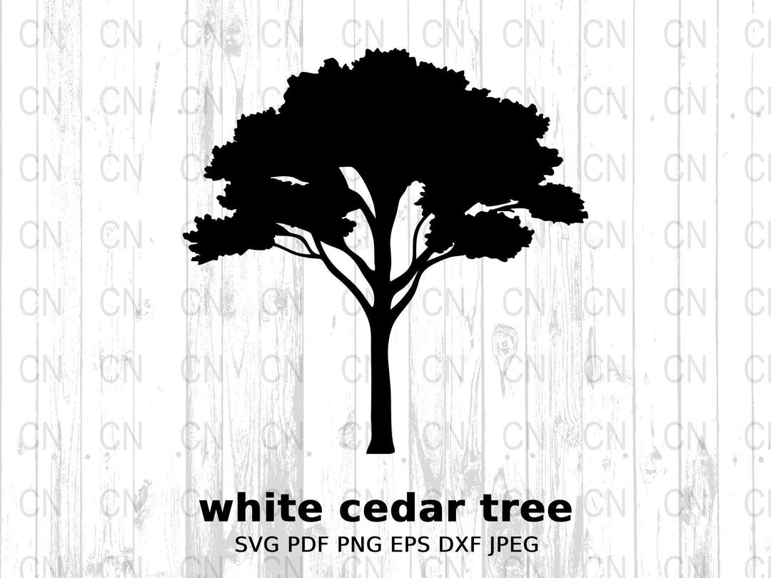 Cedar Tree Silhouette, Cedar Tree SVG, Evergreen Tree Silhouette ...