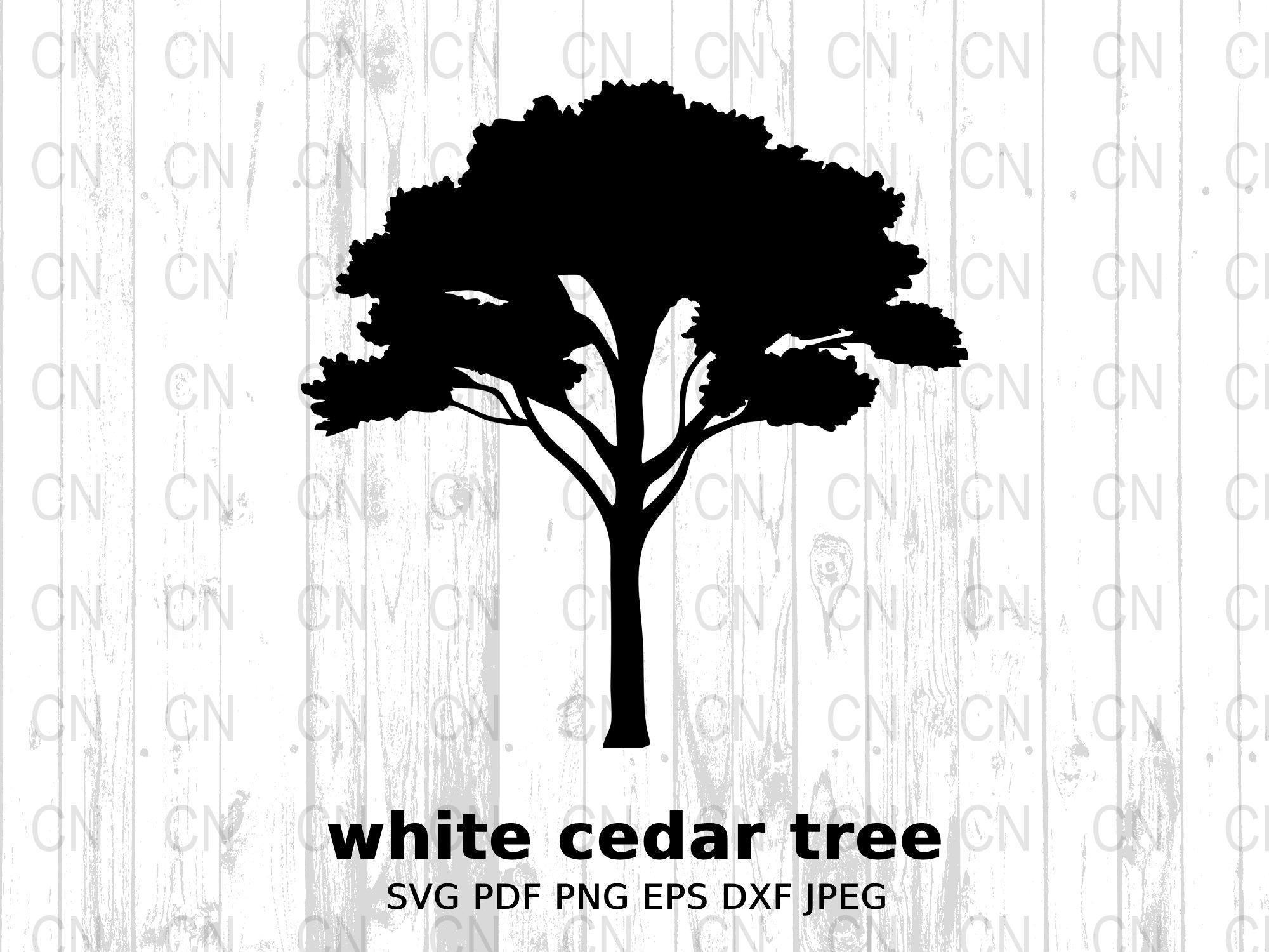Cedar Tree Silhouette, Cedar Tree SVG, Evergreen Tree Silhouette ...