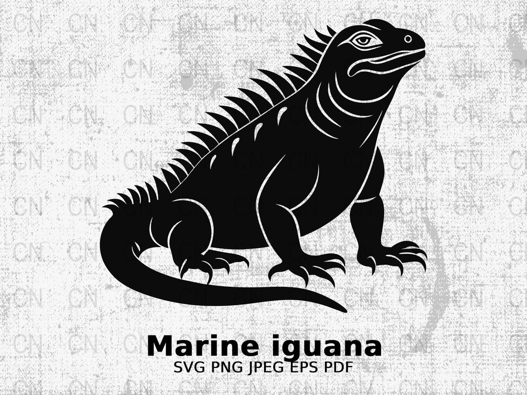 Marine Iguana Silhouette SVG, Ocean Reptile Clipart, Wildlife Vector ...