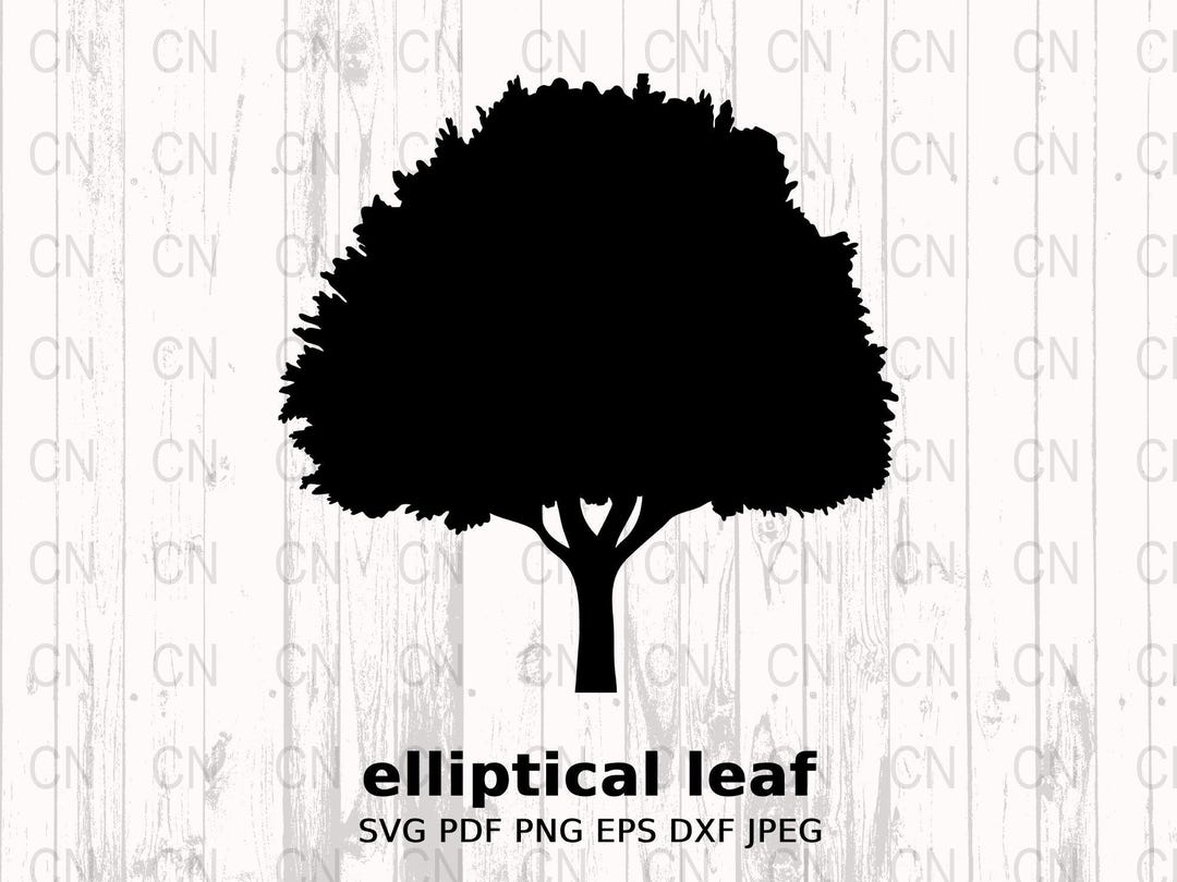 Elliptical Leaf Silhouette SVG, Botanical Clipart, Nature Vector, Plant ...