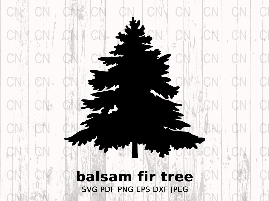 Balsam Fir Tree Silhouette SVG, Evergreen Tree Clipart, Coniferous Tree ...