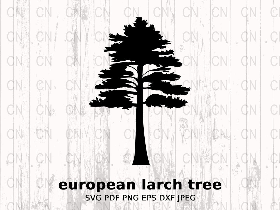 European Larch Tree Silhouette SVG, Coniferous Tree Clipart, Nature ...