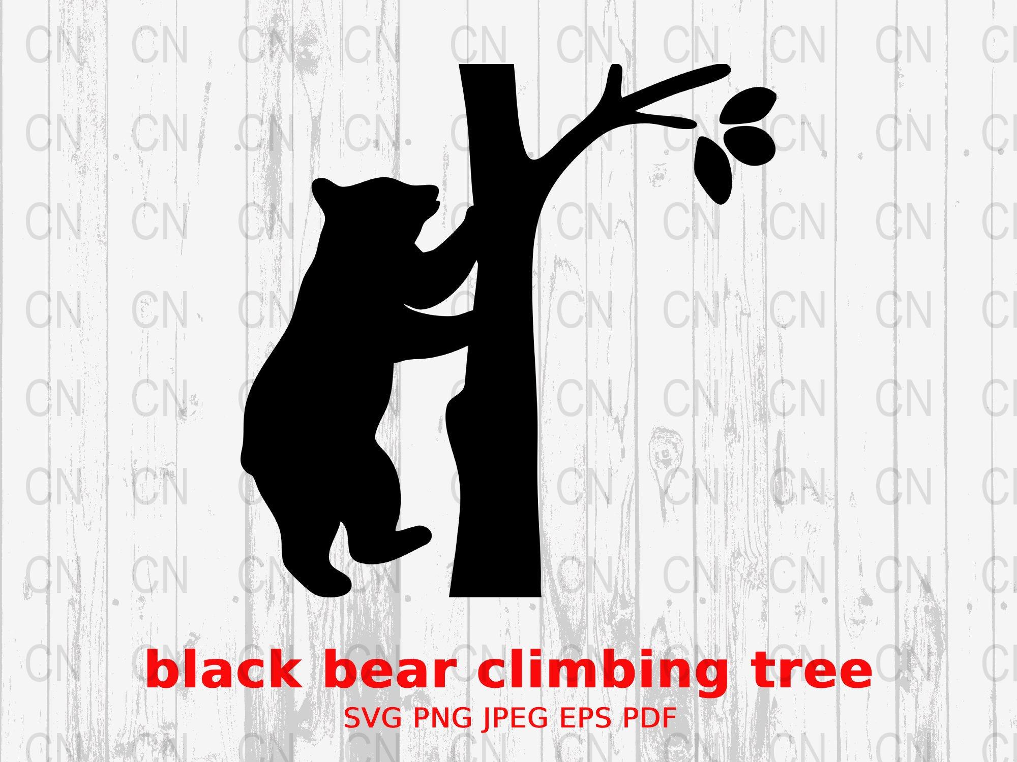 Black Bear Climbing Tree SVG, Wildlife Animal Silhouette, Forest ...