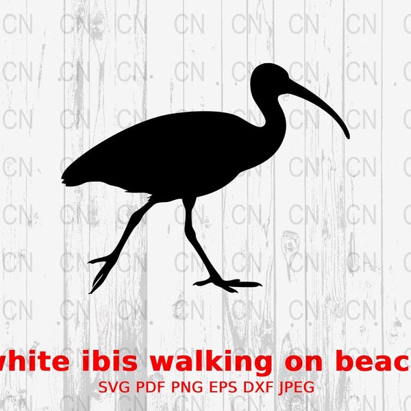 White Ibis - Etsy