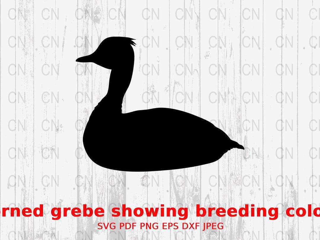 Horned Grebe in Breeding Silhouette SVG, Waterfowl Bird Clipart, Nature ...