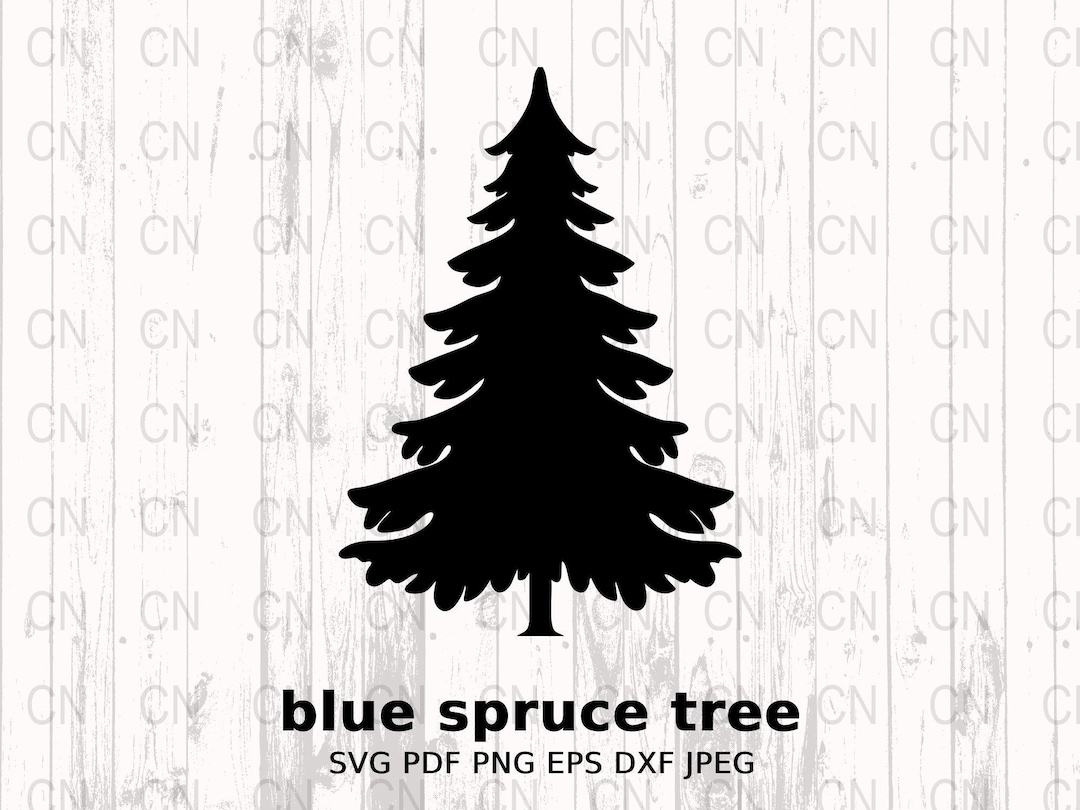 Blue Spruce Tree Silhouette SVG, Evergreen Tree Clipart, Coniferous ...