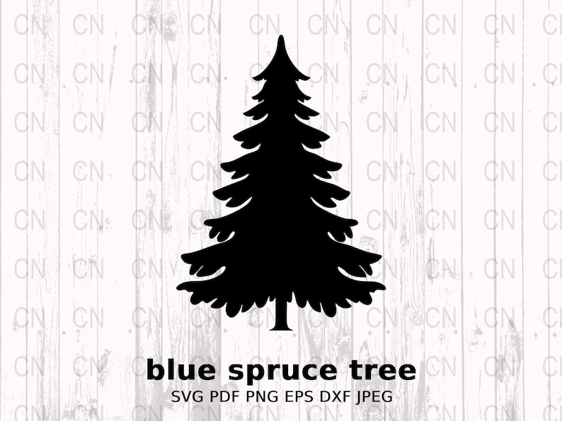 Blue Spruce Tree Silhouette SVG, Evergreen Tree Clipart, Coniferous ...