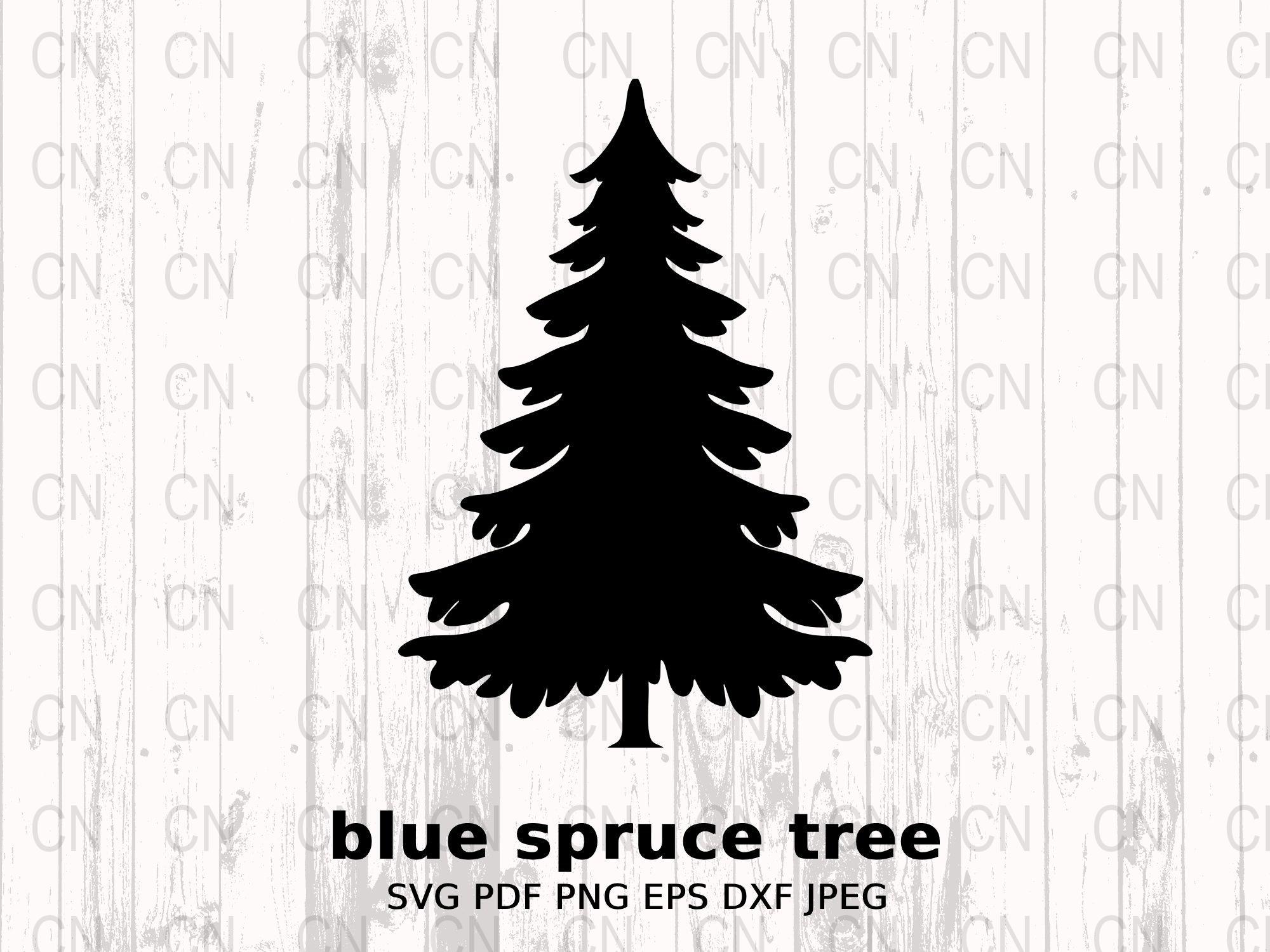Blue Spruce Tree Silhouette SVG, Evergreen Tree Clipart, Coniferous ...