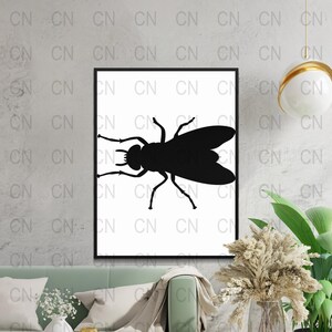 Housefly Silhouette SVG, Housefly Insect Clipart, Bug Vector, Digital ...