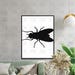 Housefly Silhouette SVG, Housefly Insect Clipart, Bug Vector, Digital ...