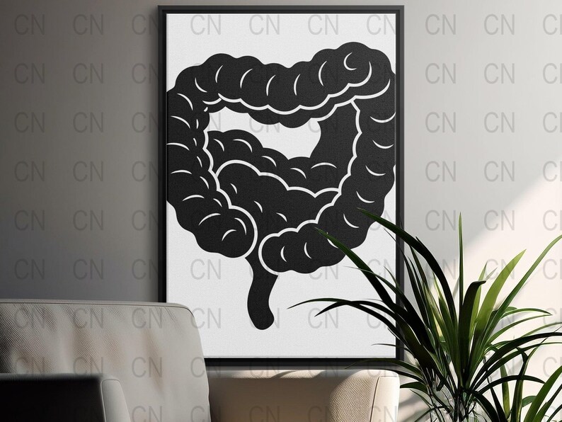 Small Intestine Silhouette SVG, Human Anatomy Clipart, Digestive System ...
