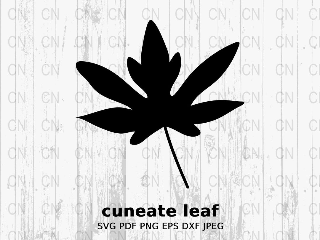 Cuneate Leaf Silhouette SVG, Wedge-shaped Leaf Clipart, Botanical ...