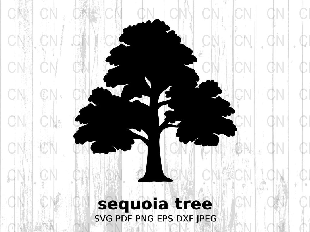 Sequoia Tree Silhouette, Sequoia Tree SVG, Giant Tree Silhouette ...