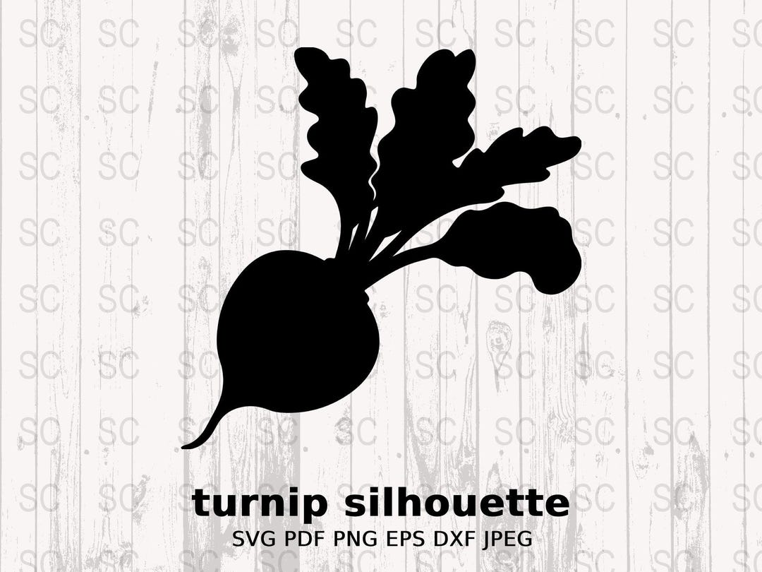 Turnip Silhouette SVG, Root Vegetable Clipart, Organic Food Vector ...