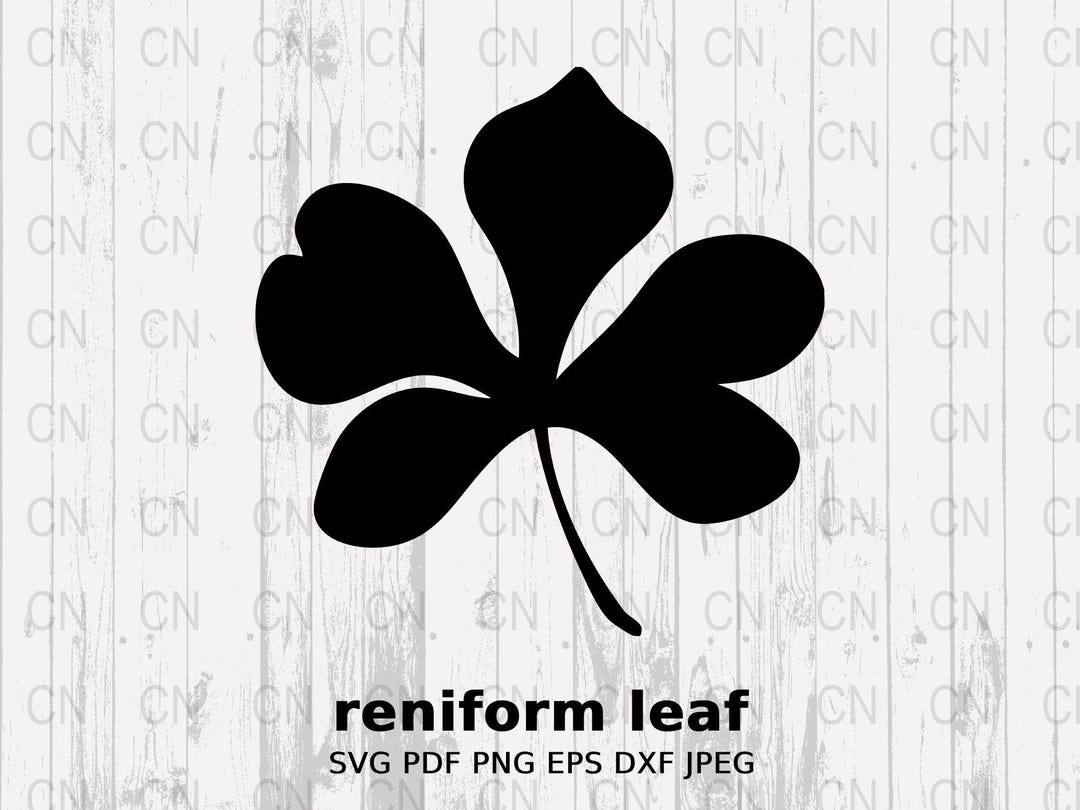 Reniform Leaf Silhouette SVG, Kidney-shaped Leaf Clipart, Botanical ...