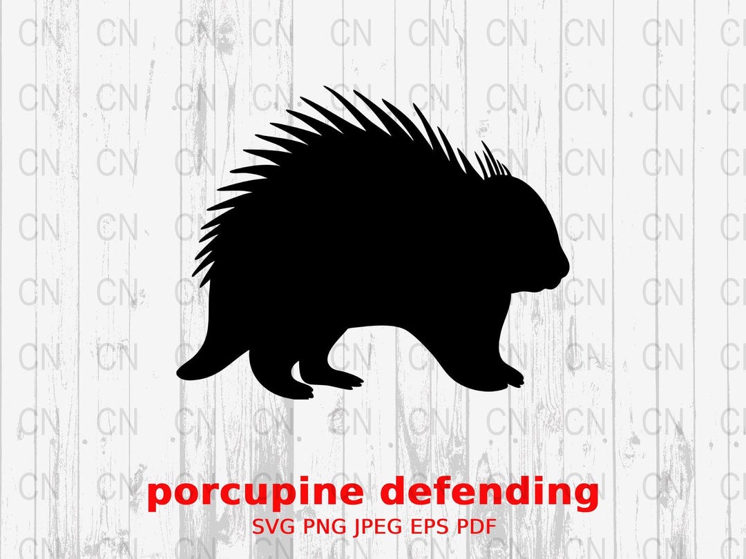 Porcupine Defense Digital Art Print, Wildlife Illustration, High ...