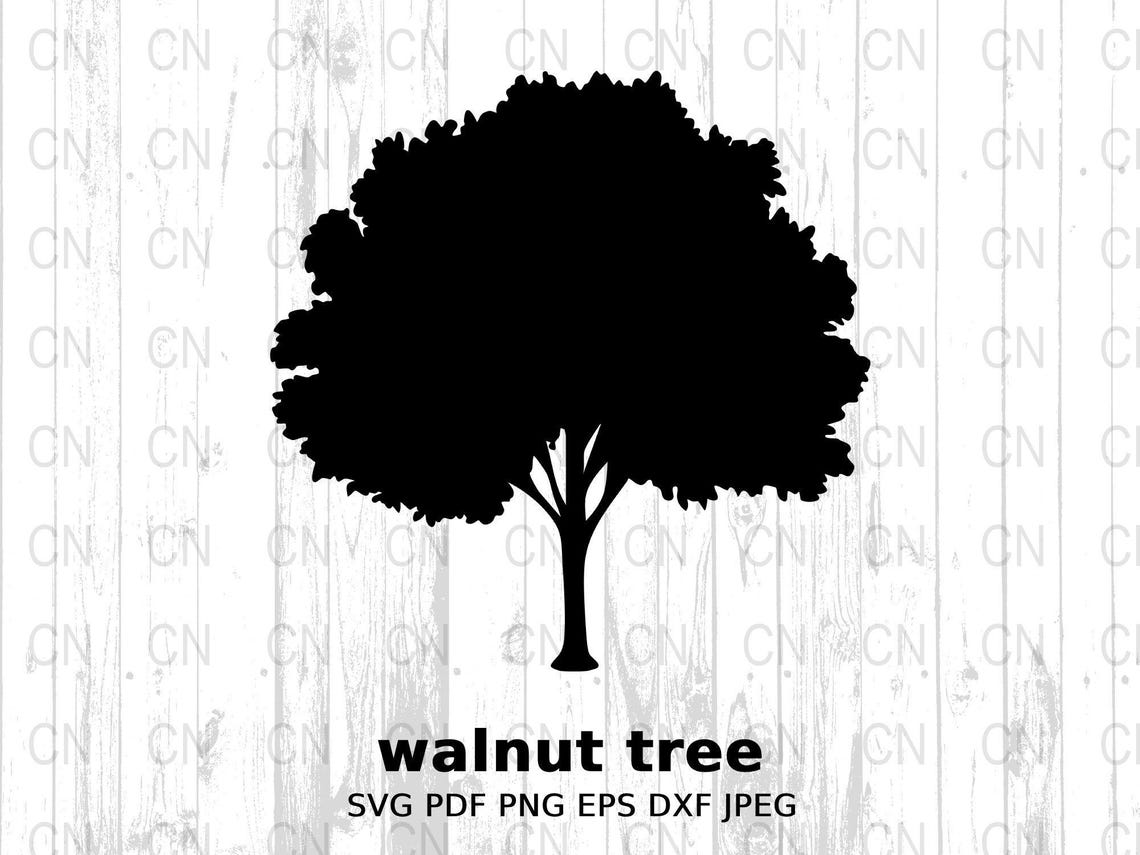 Walnut Tree Silhouette, Walnut Tree SVG, Nut Tree Silhouette, Nature ...