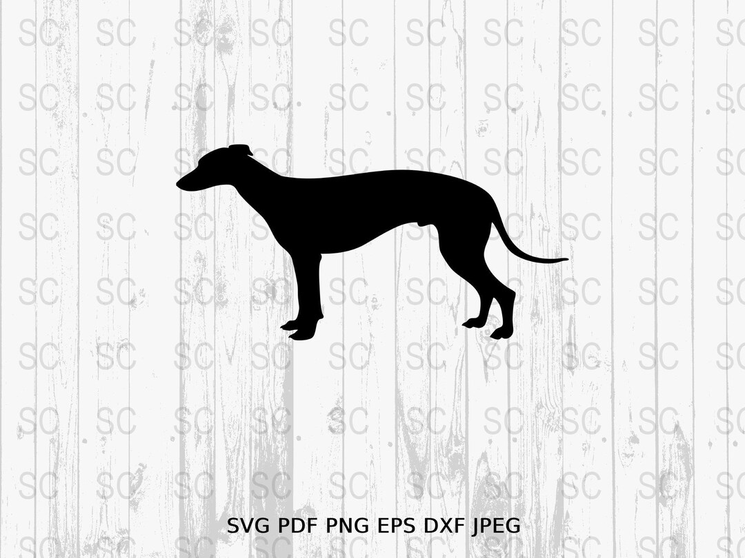 Whippet Silhouette SVG, Dog Breed Clipart, Whippet Dog Vector, Digital ...