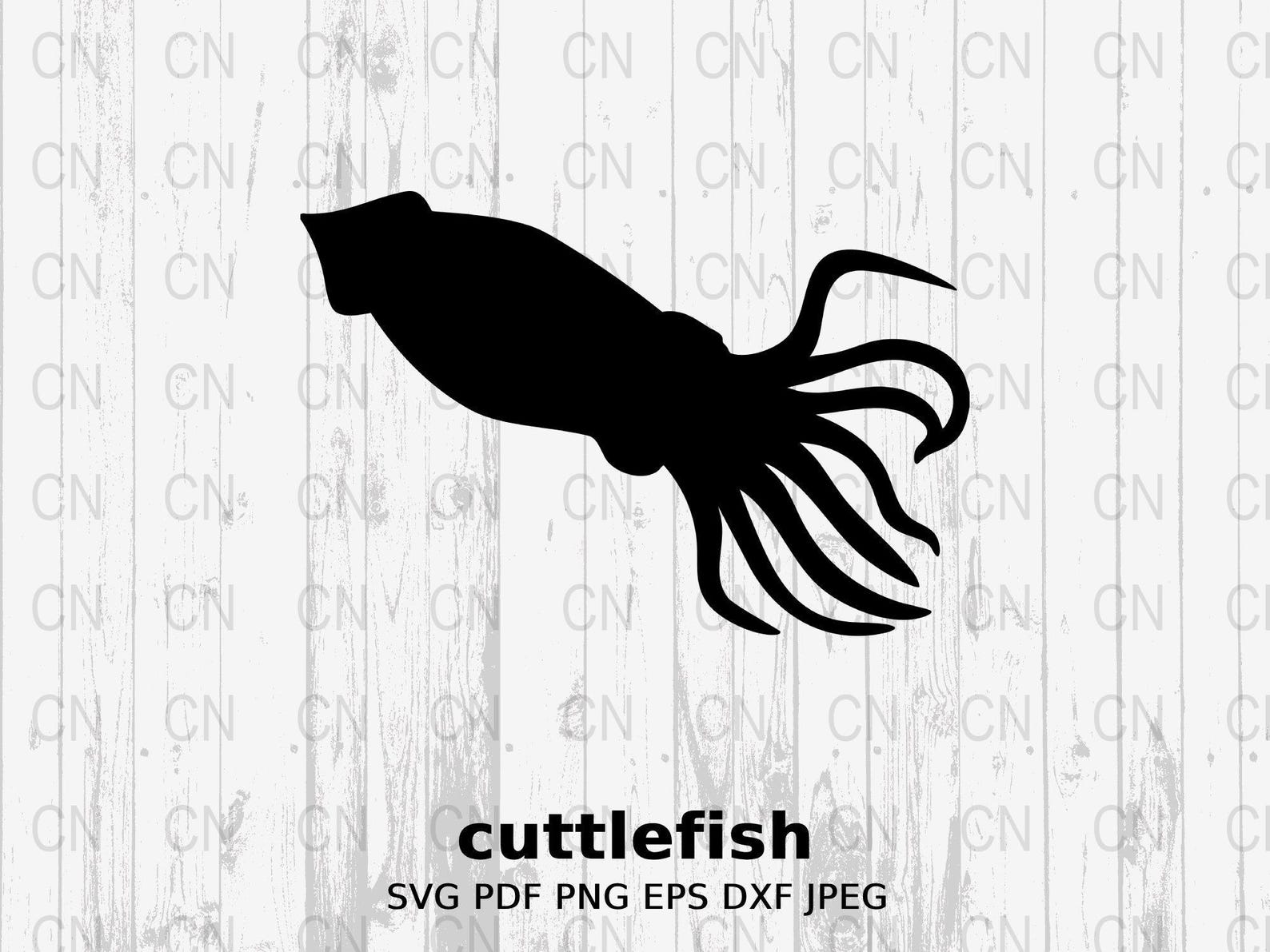 Cuttlefish Silhouette SVG, Ocean Creature Clipart, Marine Life Vector ...