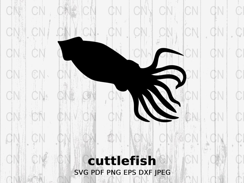 Cuttlefish Silhouette SVG, Ocean Creature Clipart, Marine Life Vector ...