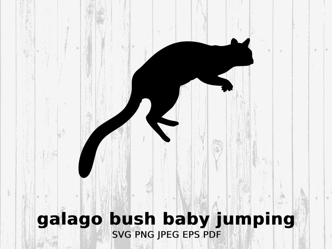 Galago Bush Baby Jumping SVG, Wildlife Primate Silhouette, Animal ...
