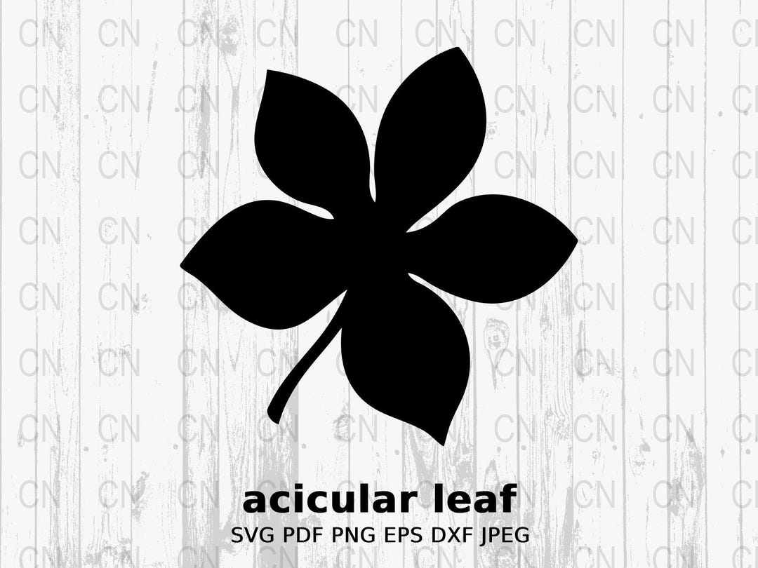 Acicular Leaf Silhouette SVG, Needle-shaped Leaf Clipart, Botanical ...