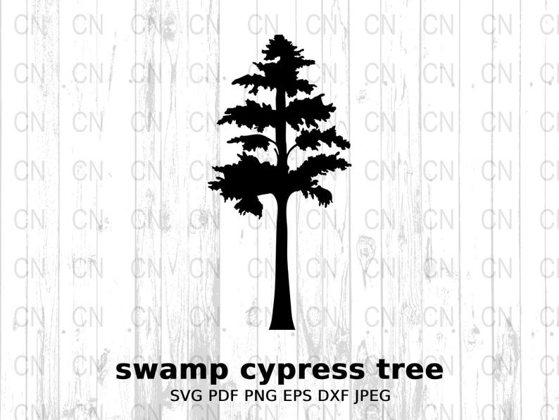 Swamp Cypress Tree Silhouette, Swamp Cypress Tree SVG, Wetland Tree ...