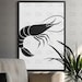 Shrimp Svg Png Jpeg Dxf, Vector Cutting Files for Silhouette Cameo ...
