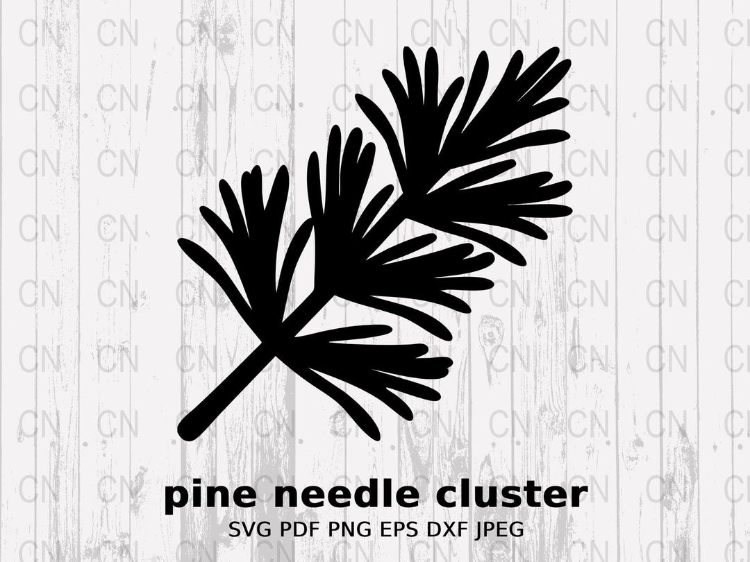 Pine Needle Cluster Silhouette SVG, Botanical Clipart, Pine Tree Vector ...