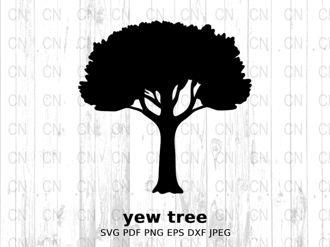 Yew Tree Silhouette, Yew Tree SVG, Evergreen Tree Silhouette, Nature ...