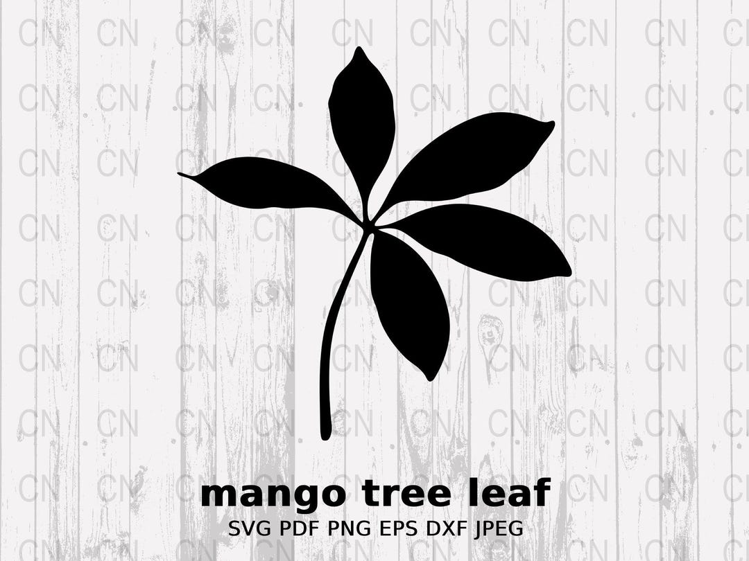 Mango Tree Leaf Silhouette SVG, Tropical Leaf Clipart, Botanical ...