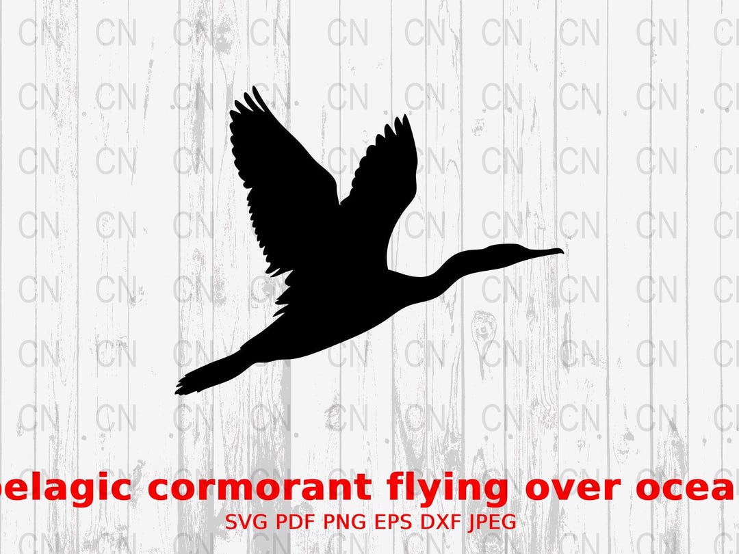 Pelagic Cormorant Over Ocean Silhouette SVG, Coastal Bird Clipart ...