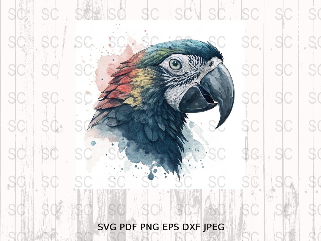 Parrot Watercolor Splash Art Print - Vibrant Digital Download ...