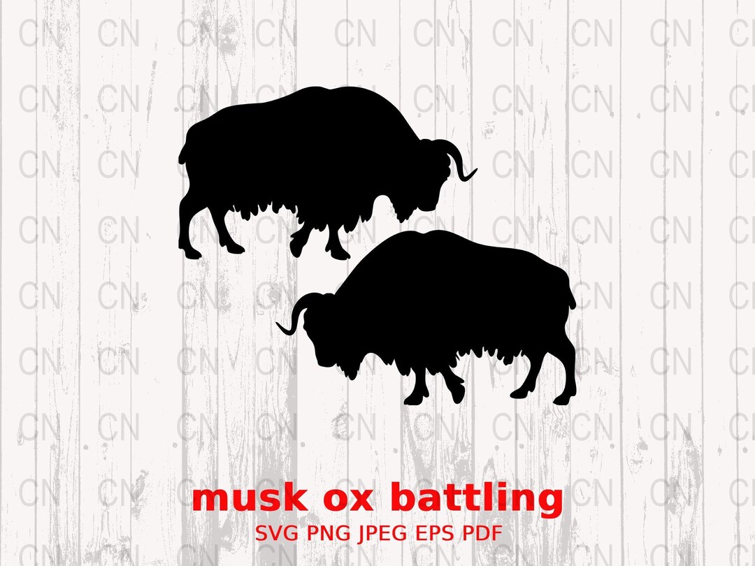 Musk Ox Battle Digital Art Print Wildlife Nature Illustration Download ...