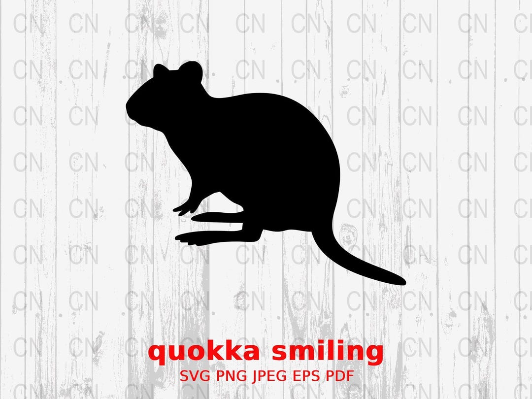 Quokka Smiling Silhouette SVG, Cute Animal Clipart, Wildlife Vector ...