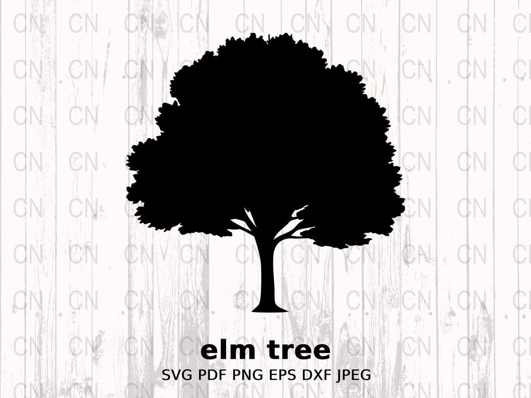 Elm Tree Silhouette SVG, Deciduous Tree Clipart, Nature Vector ...