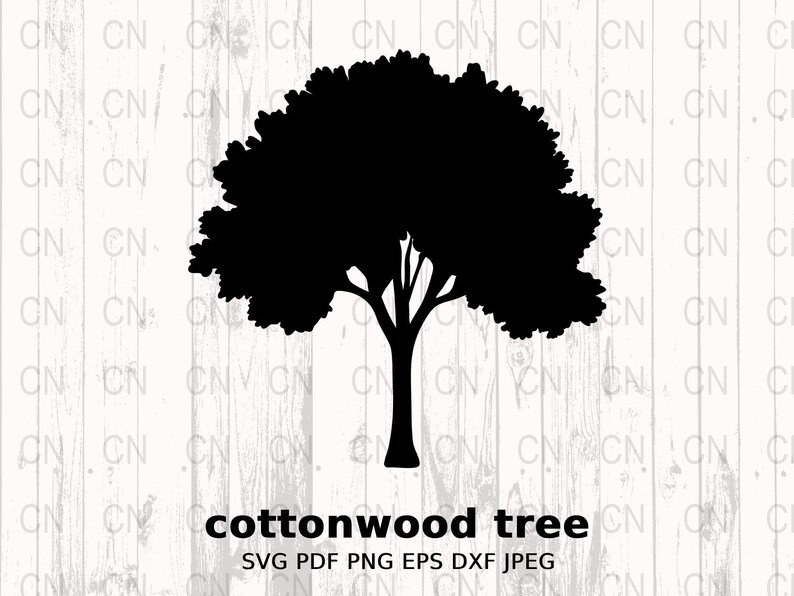 Cottonwood Tree Silhouette SVG, Deciduous Tree Clipart, Nature Vector ...
