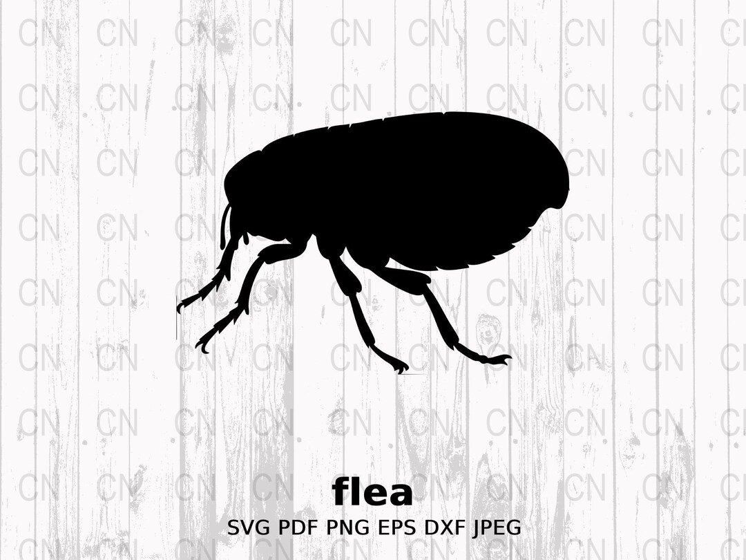 Flea Silhouette SVG, Flea Insect Clipart, Bug Vector, Digital Cut File ...