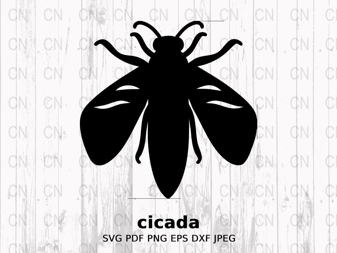 Cicada Silhouette SVG, Cicada Insect Clipart, Bug Vector, Digital Cut ...