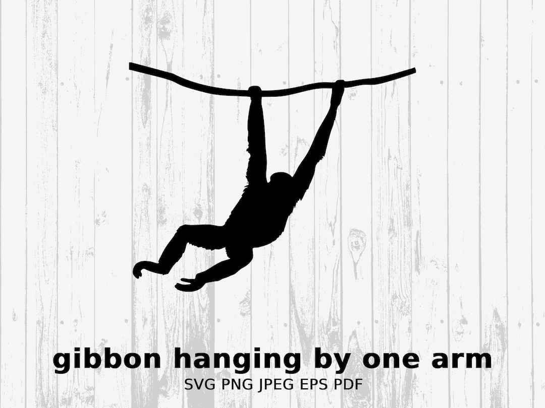 Gibbon Hanging by One Arm SVG, Primate Silhouette, Jungle Wildlife ...