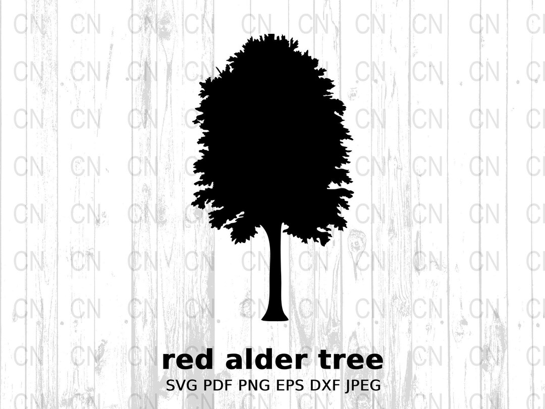 Red Alder Tree Silhouette, Alder Tree SVG, Woodland Tree Silhouette ...