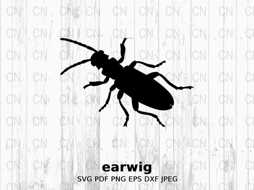 Earwig Silhouette SVG, Insect Clipart, Bug Vector, Nature Wildlife ...