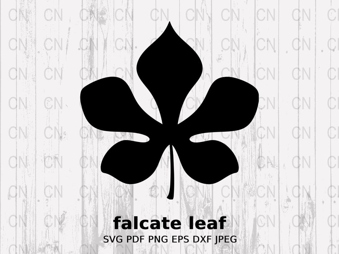 Falcate Leaf Silhouette SVG, Curved Leaf Clipart, Botanical Vector ...