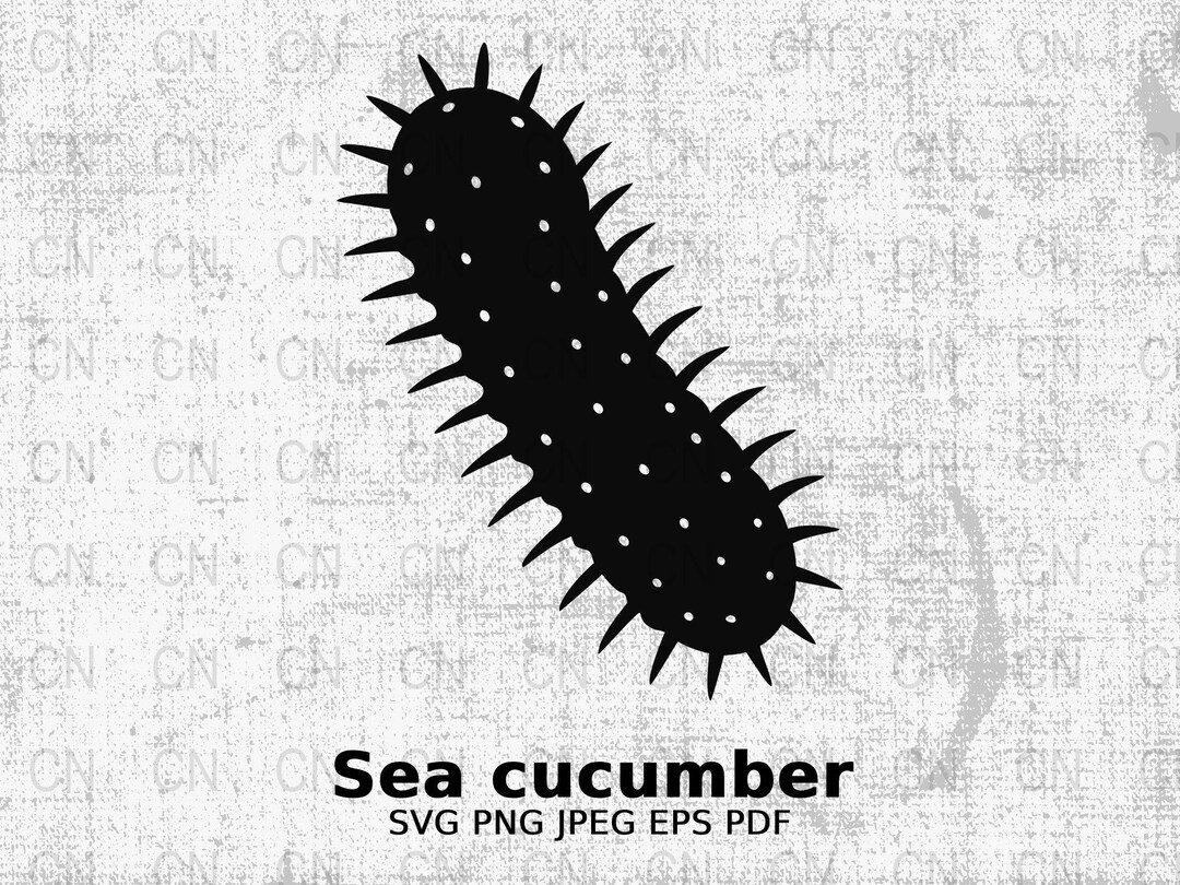Sea Cucumber Silhouette SVG, Marine Creature Clipart, Ocean Animal ...